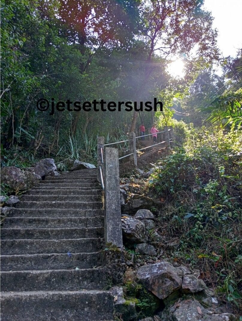 Double Decker Living Root Bridge Meghalaya Trek - A Complete Guide